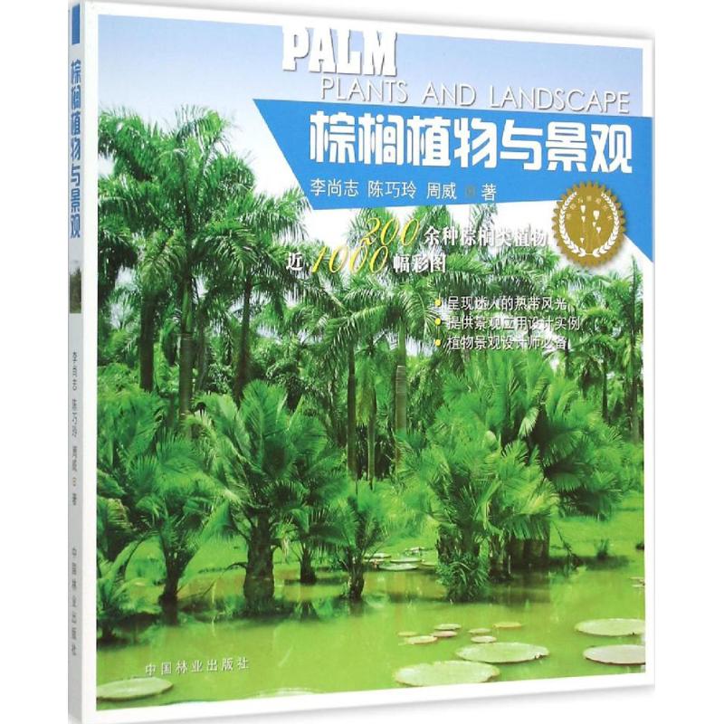 棕榈植物与景观