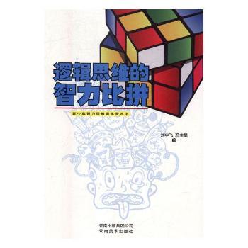 书籍 逻辑思维的智力比拼