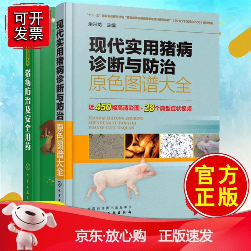 【全2册】 现代实用猪病诊断与防治原色图谱大全猪病防治及安全用药猪病预防与防治猪病防治及诊断猪养殖用