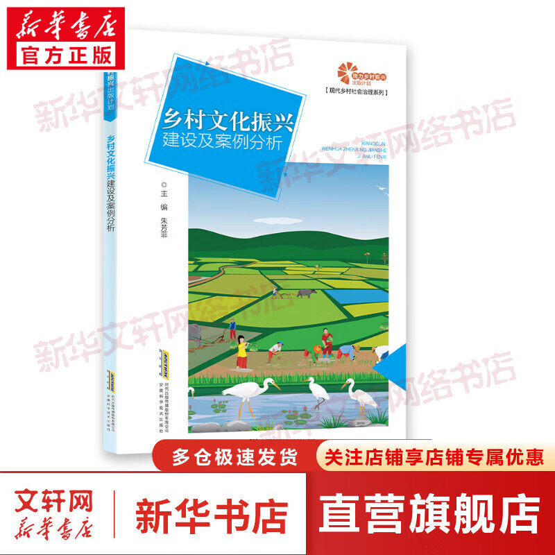 乡村文化振兴建设及案例分析 图书