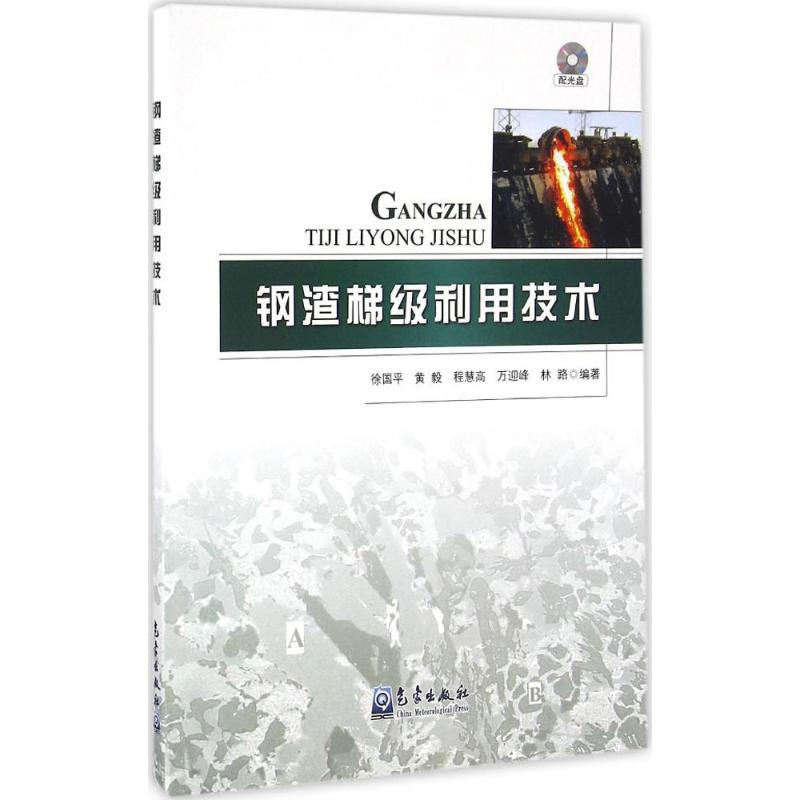 钢渣梯级利用技术 徐国平 等 编 书籍