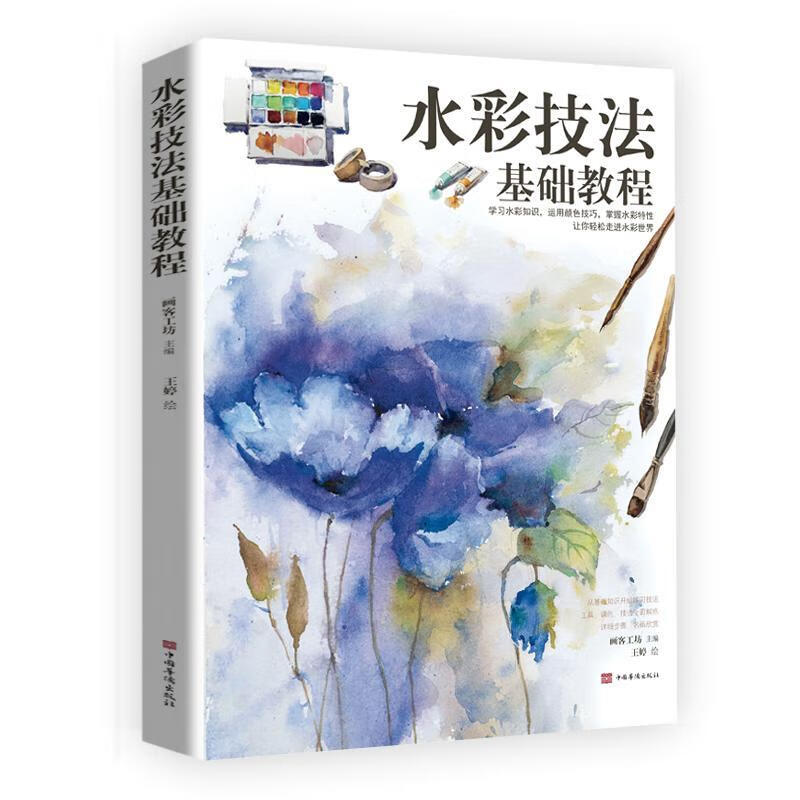 水彩技法基础教程王婷绘画9787511386861