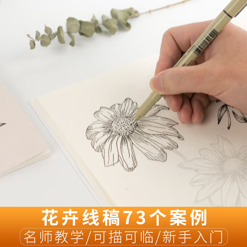 控笔绘画临摹描摹练习花卉线描线稿教材儿童画画素描速写本黑板报素材黑白美术植物手绘创意针管笔铅笔简笔画