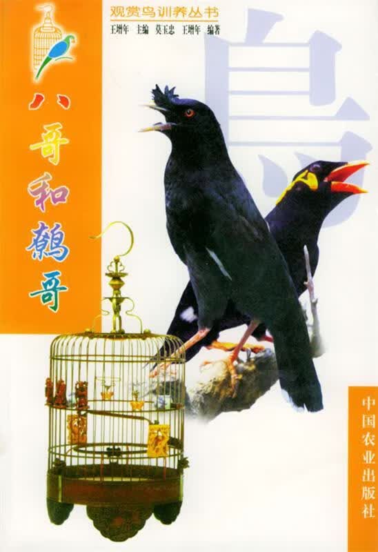 八哥和鹩哥【好书，下单速发】