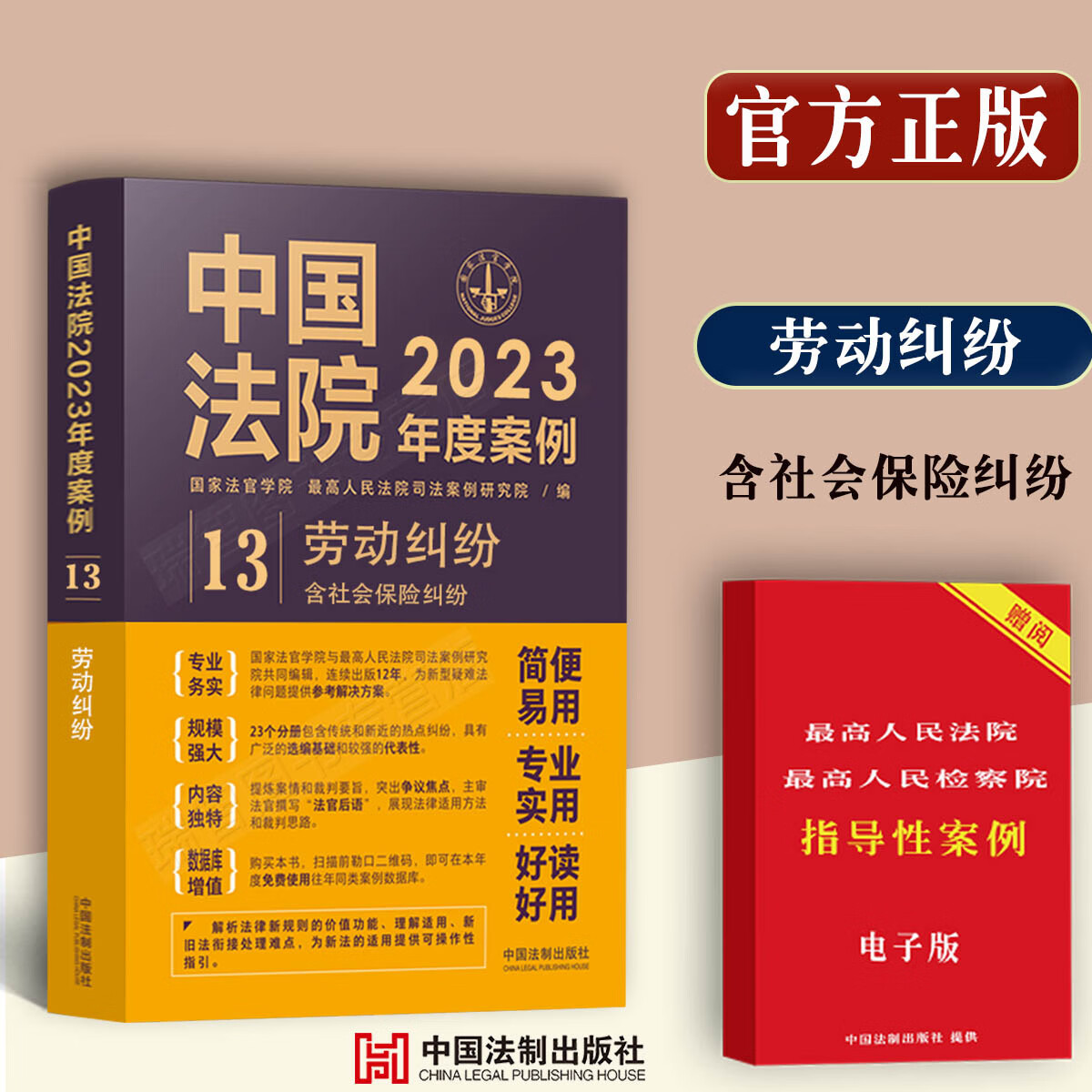 中国法院2023年度案例/劳动纠纷劳动争议仲裁社会保险确认劳动关系合同履行和变更劳动合同解除和终止竞业限