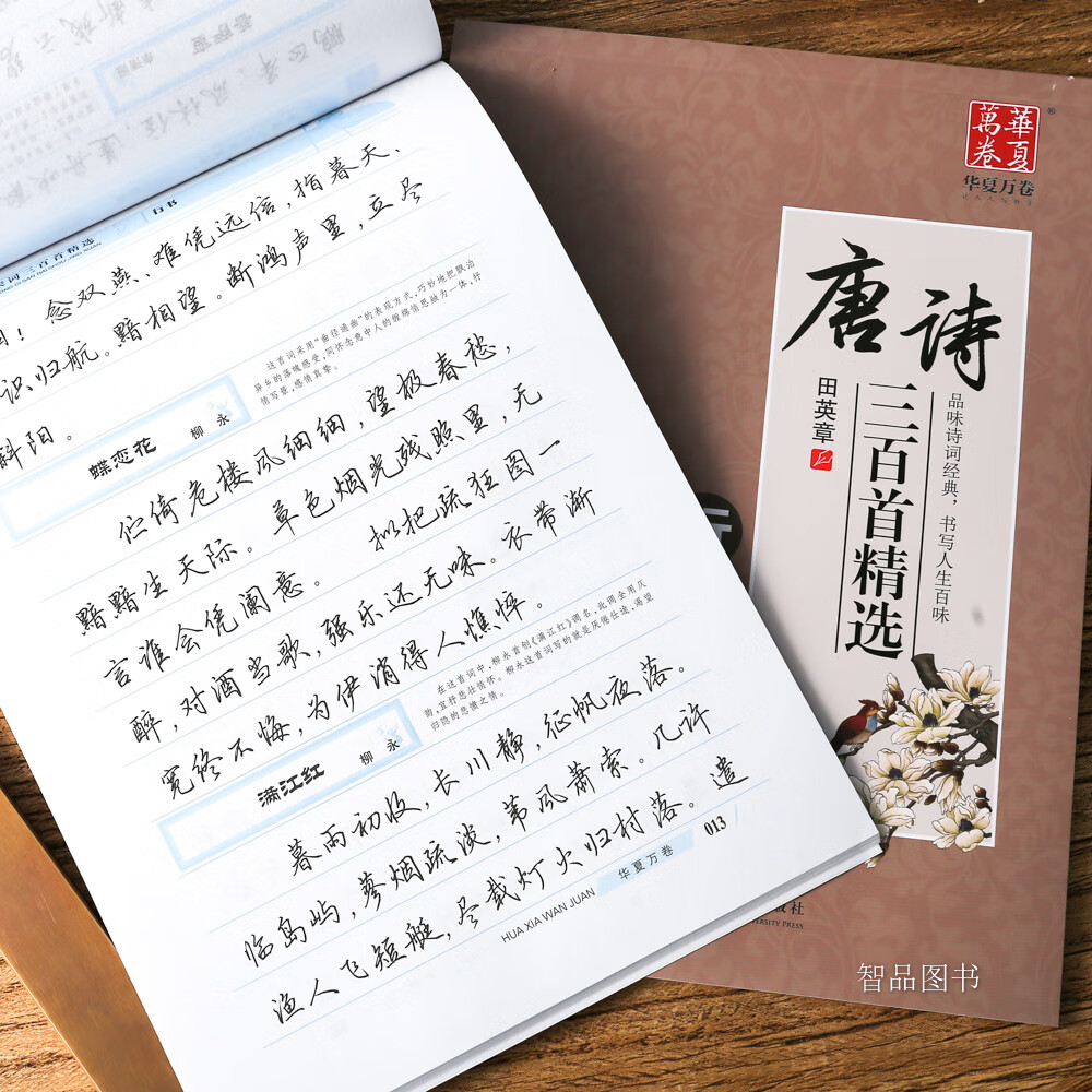 共5样 田英章书行书钢笔字帖宋词唐诗三百首行书精选古诗词字帖 田英章书行书硬笔钢笔书法练字帖行书练字帖