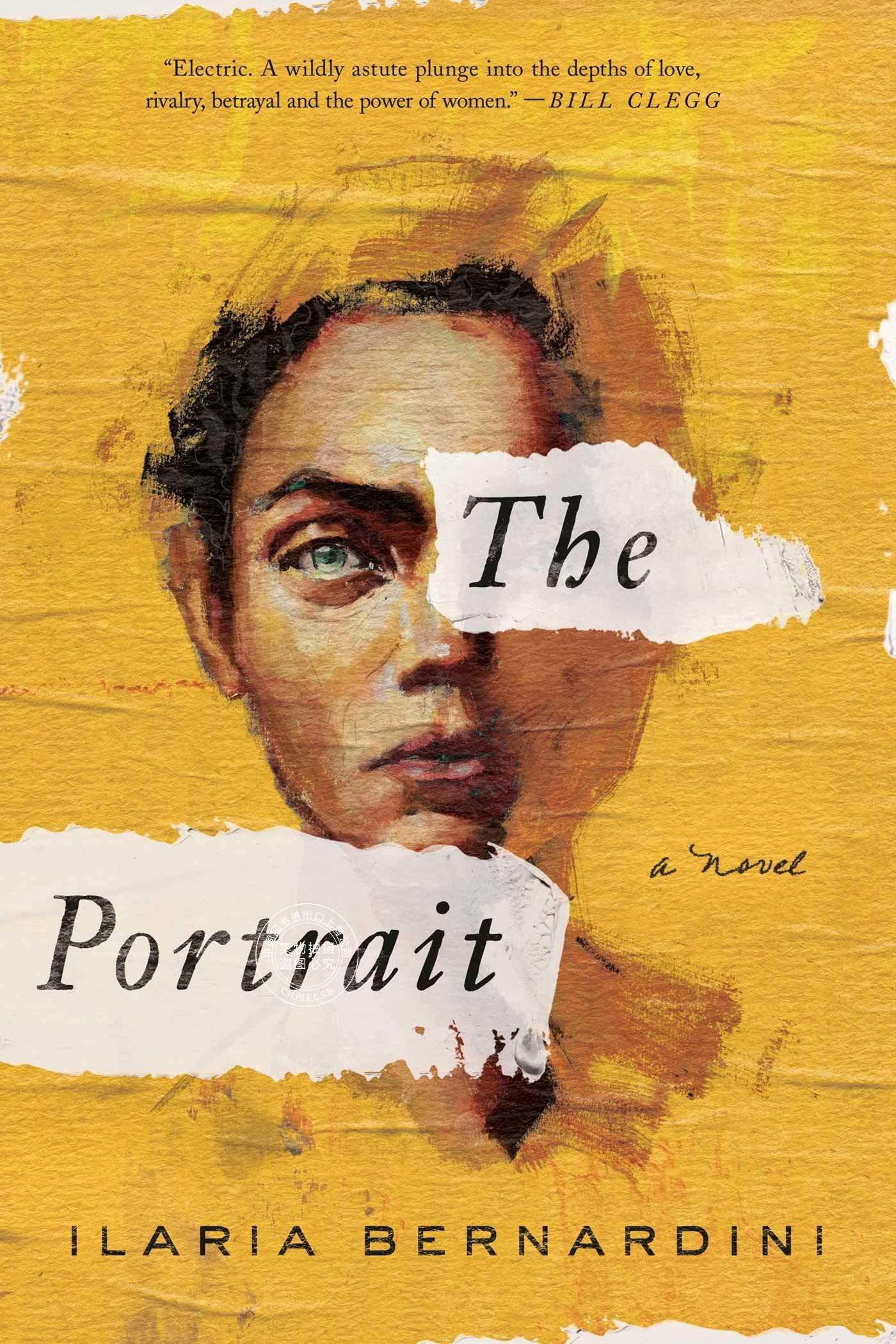 现货 画像 英文原版小说 The Portrait 艺术背后的谎言与爱情 Ilaria B