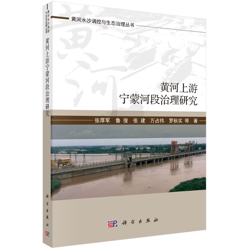 黄河上游宁蒙河段生态治理研究