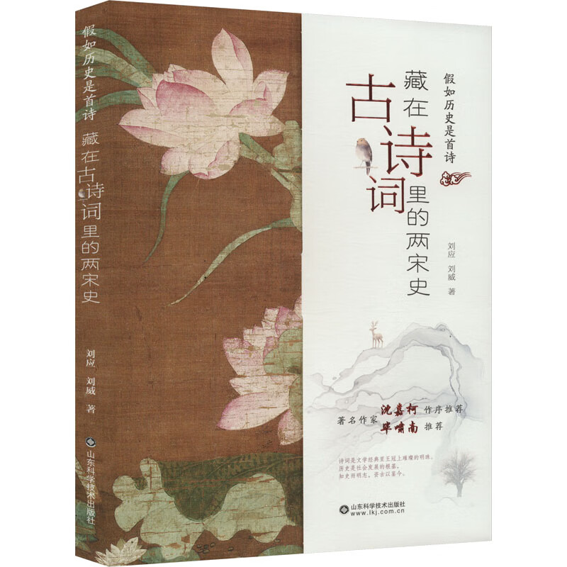 藏在古诗词里的两宋史 图书