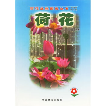 荷花 张义君【书】