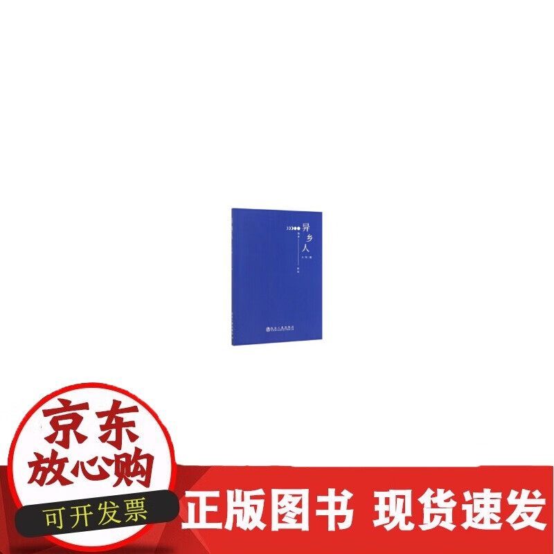 异乡人/王岚