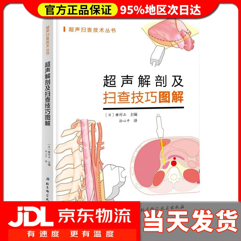 超声解剖及扫查技巧图解