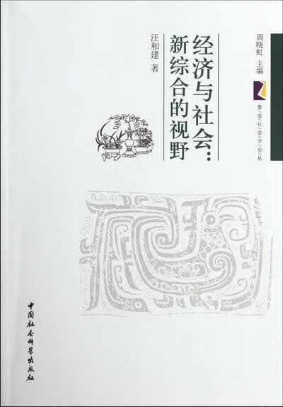 济与社会-新综合的视野 汪和建 9787516107027