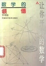 让你开窍的数学 数学的领悟罗增儒著