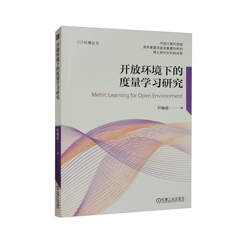 开放环境下的度量学习研究