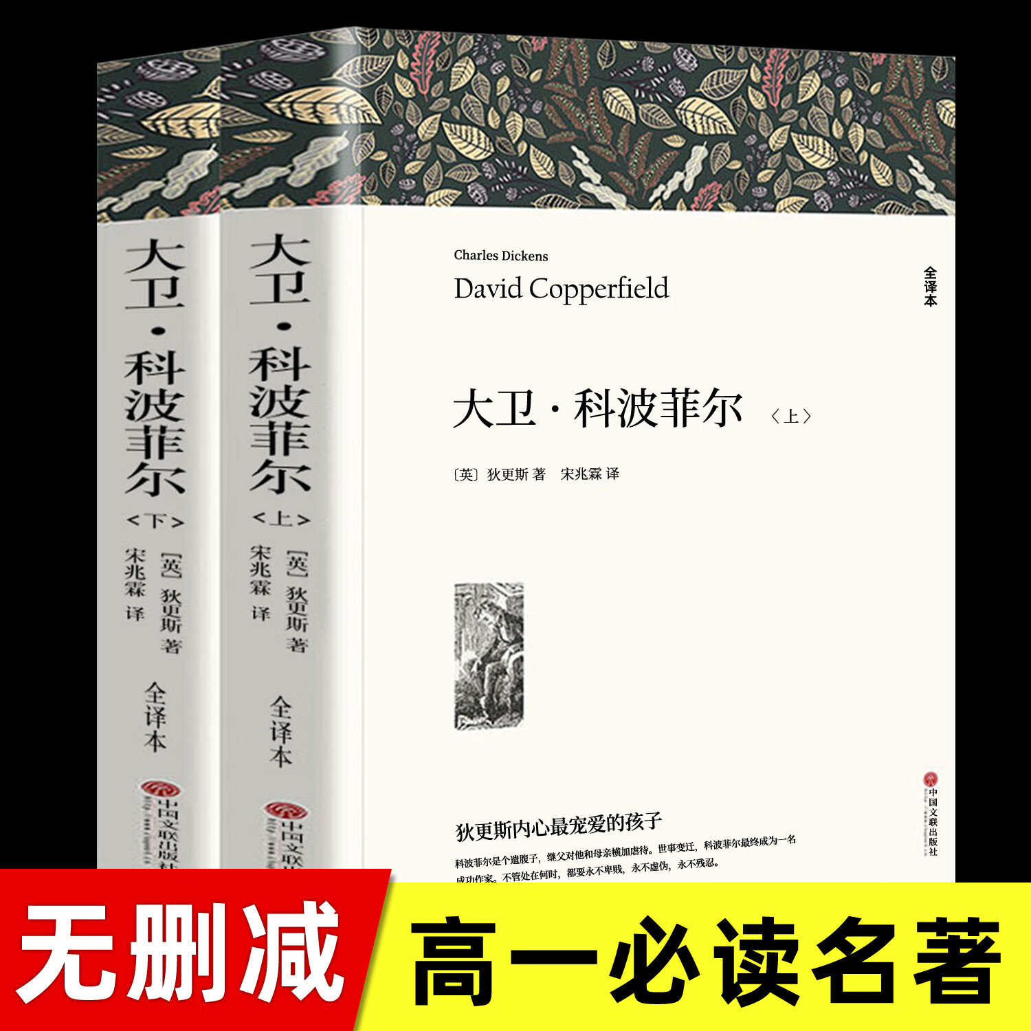 【上下2册无删减】大卫科波菲尔狄更斯著原著完整版原版论语全译本宋兆霖高中生必读课外书名著高一课外bb