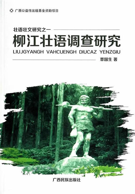 壮语壮文研究之一:柳江壮语调查研究