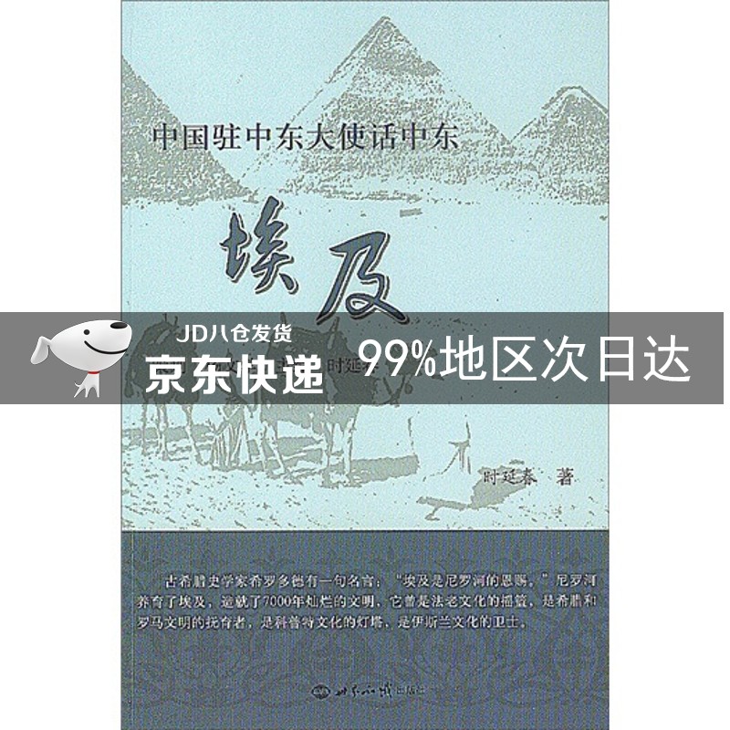 中国驻中东大使话中东：埃及