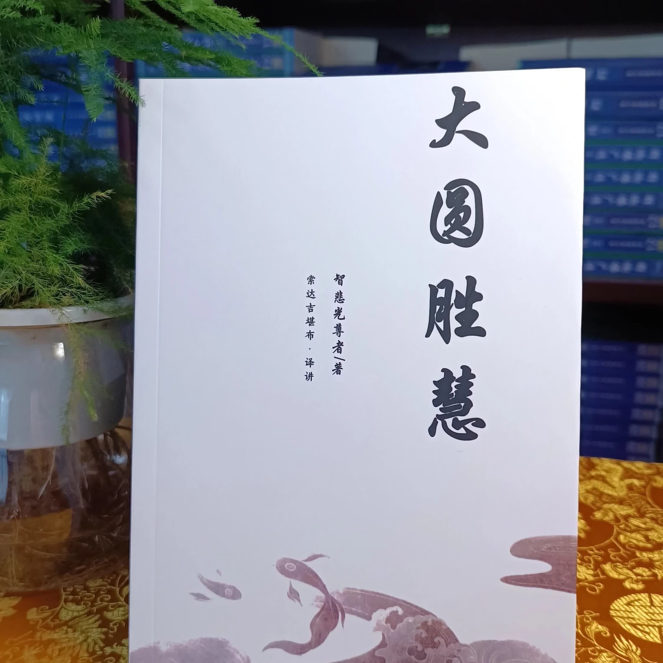 现货大圆胜慧