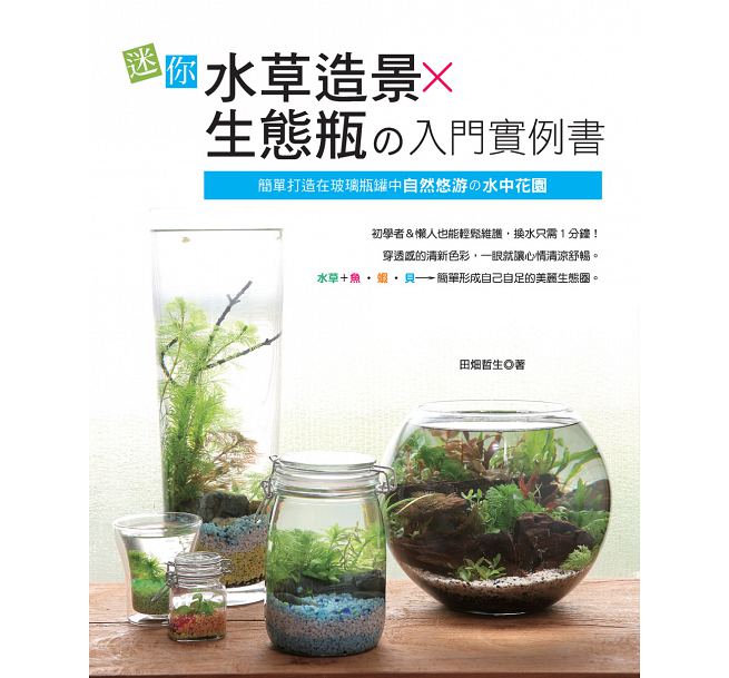 预售 迷你水草造景x生态瓶入门实例书 15喷泉