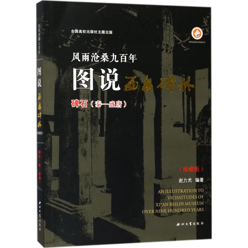 风雨沧桑九 赵力光 编著 艺术/篆刻