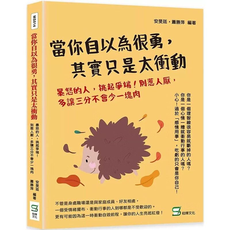 台版 当你自以为很勇 其实只是太冲动 崧烨文化 安旻廷 情绪管理的重要性潜能开发心理励志书籍