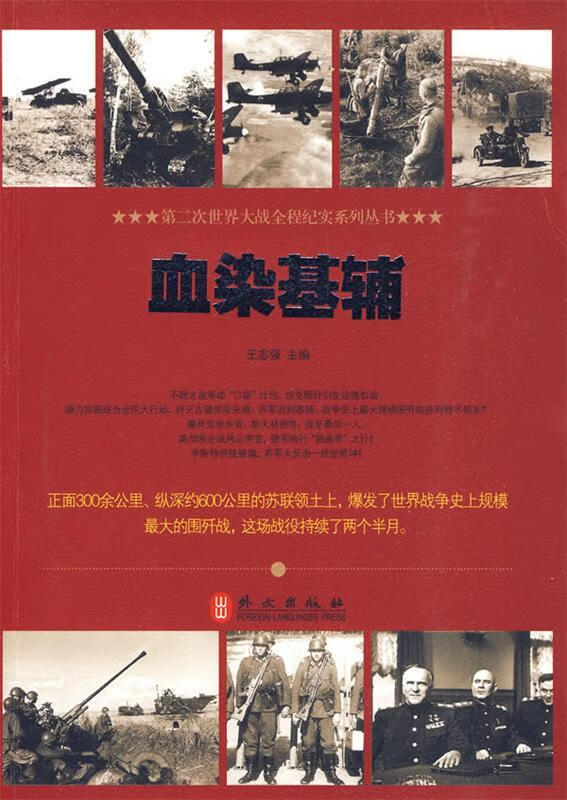 血染基辅 王志强著【书】