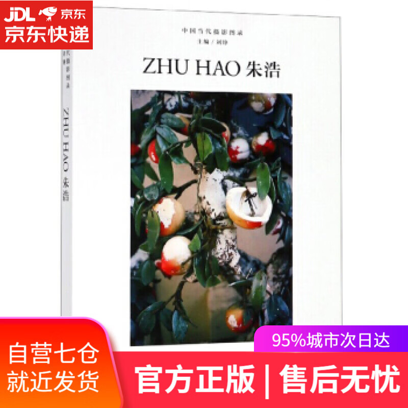 朱浩 中国当代摄影图录 刘铮 编 浙江摄影出版社 9787551425377