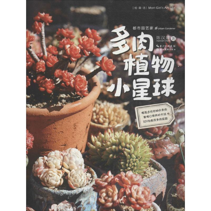 多肉植物小星球