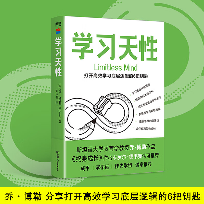 学习天性(打开高效学习底层逻辑的6把钥匙)斯坦福大学教育学教授乔·博勒深度研究学习规律 成甲李柘远桂先学姐推荐