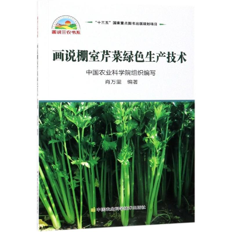 画说棚室芹菜绿色生产技术