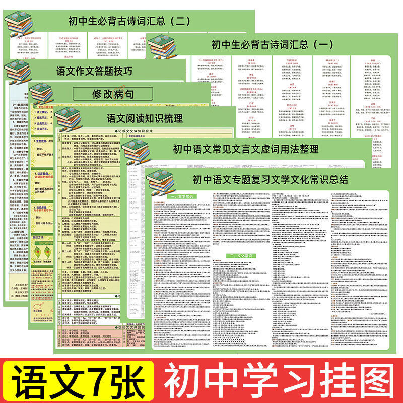 9科重点知识挂图全套防水全国通用抖音同款 语文单科-7张