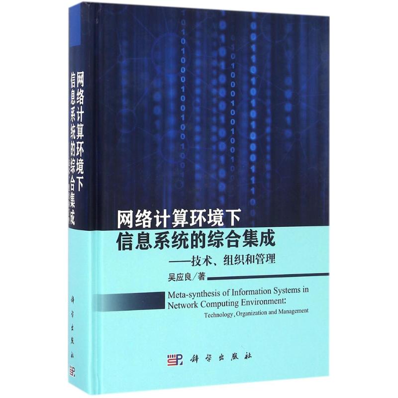 网络计算环境下信息系统的综合集成