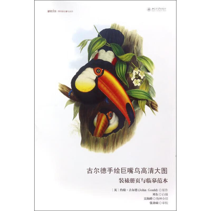 古尔德手绘巨嘴鸟高清大图