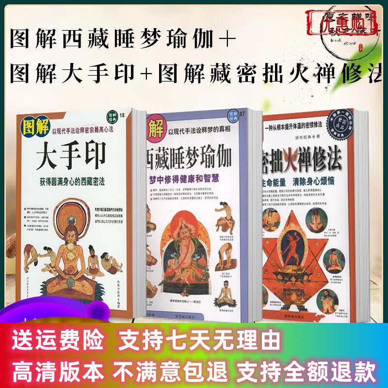 定制款 图解西藏睡梦瑜伽＋图解大手印＋图解藏密拙火禅修法 共