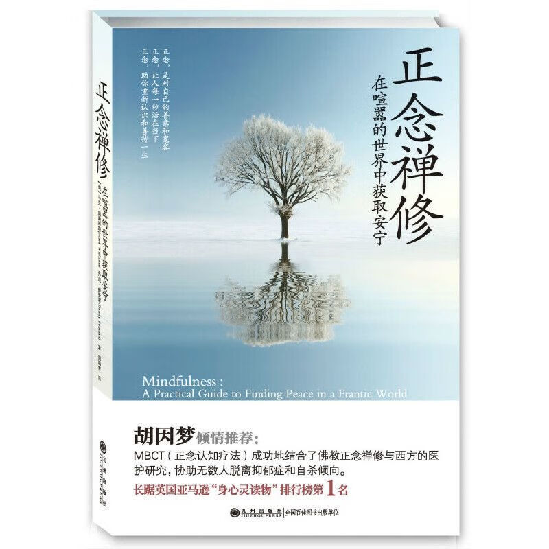 【书籍】正念禅修