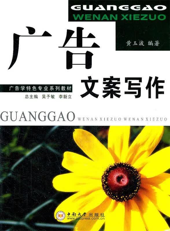 广告文案写作【好书，下单速发】