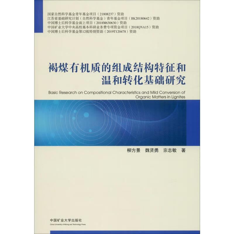 褐煤有机质的组成结构特征和温和转化基础研究 柳方景,魏贤勇,宗志敏 书籍