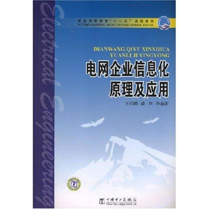 电网企业信息化原理及应用 王乐鹏,潘华 著