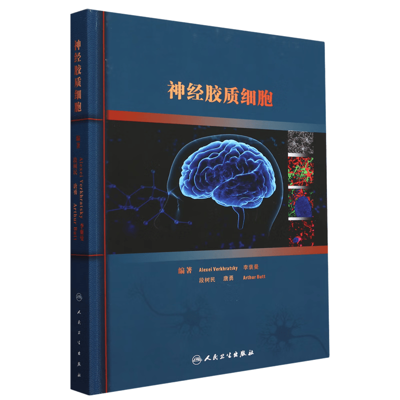 神经胶质细胞