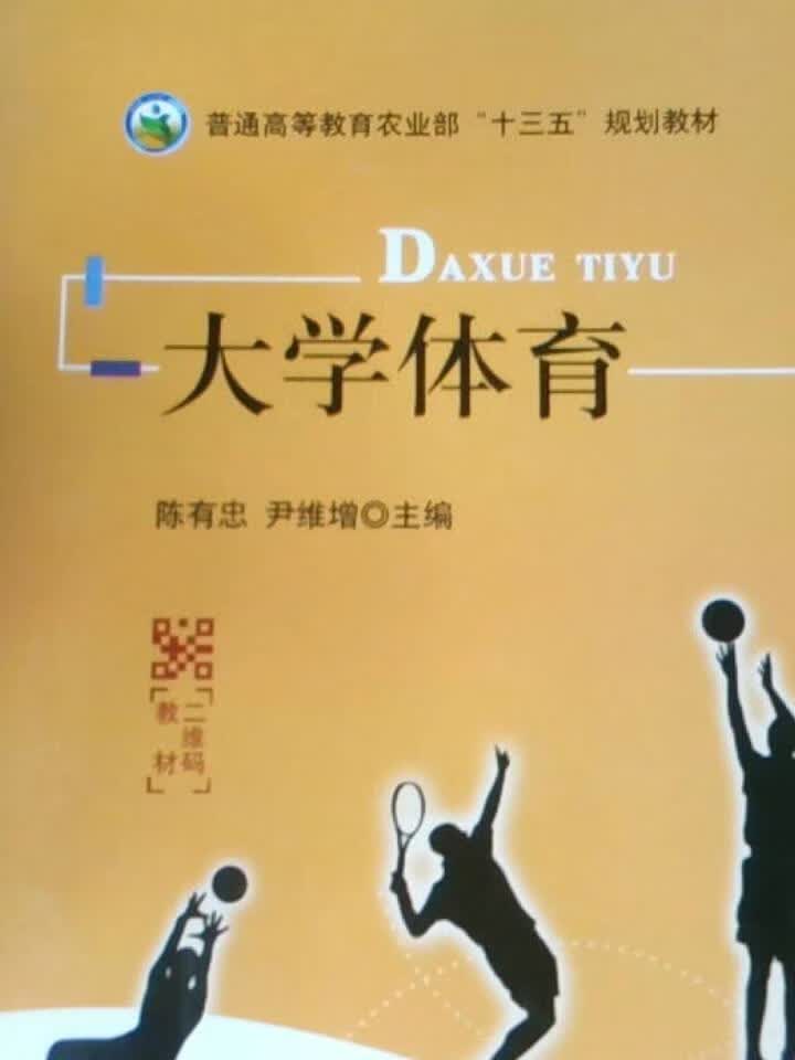 大学体育