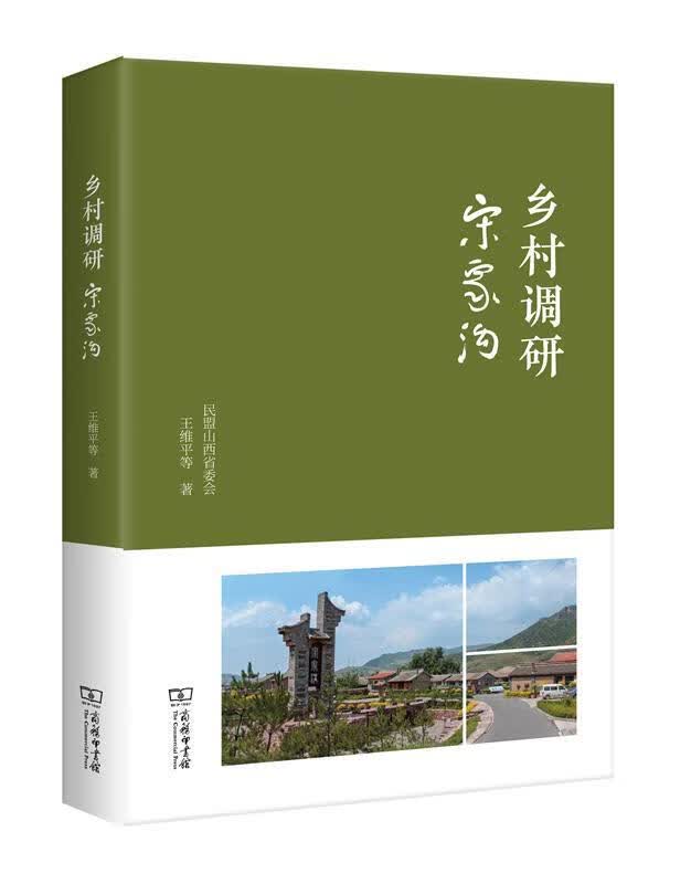 乡村调研 宋家沟 王维平 等 商务印书馆