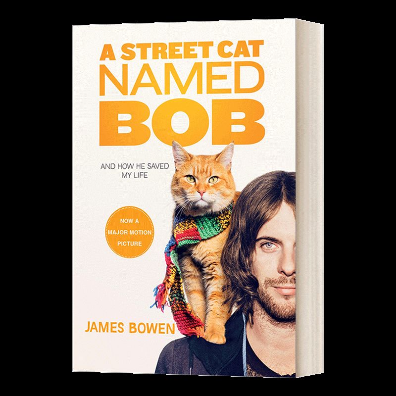 一只名叫鲍勃的流浪猫 英文 A Street Cat Named Bob 同名电影小说 遇见一只猫 一只名叫鲍勃的流浪猫 ..