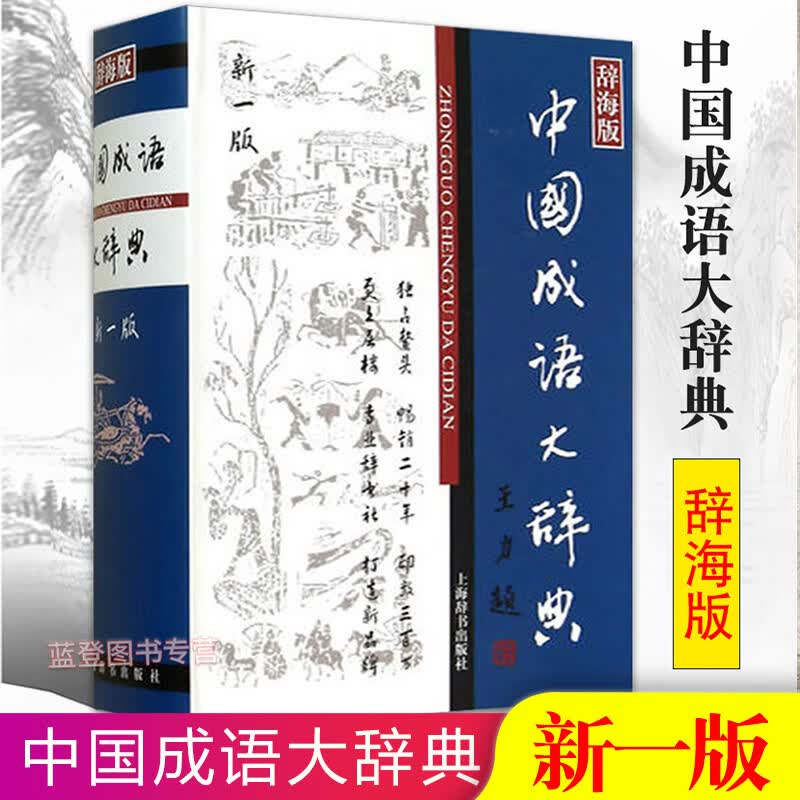 新版中国成语大上海辞书社中国成语成语词典中生适用词典王涛大系世纪X