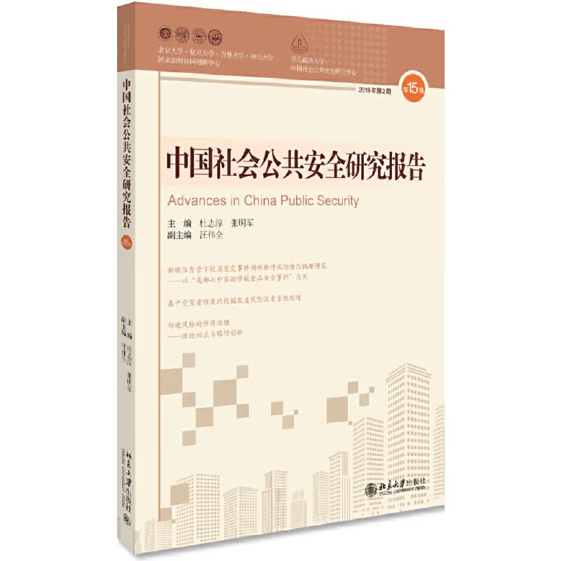 中国社会公共安全研究报告5辑