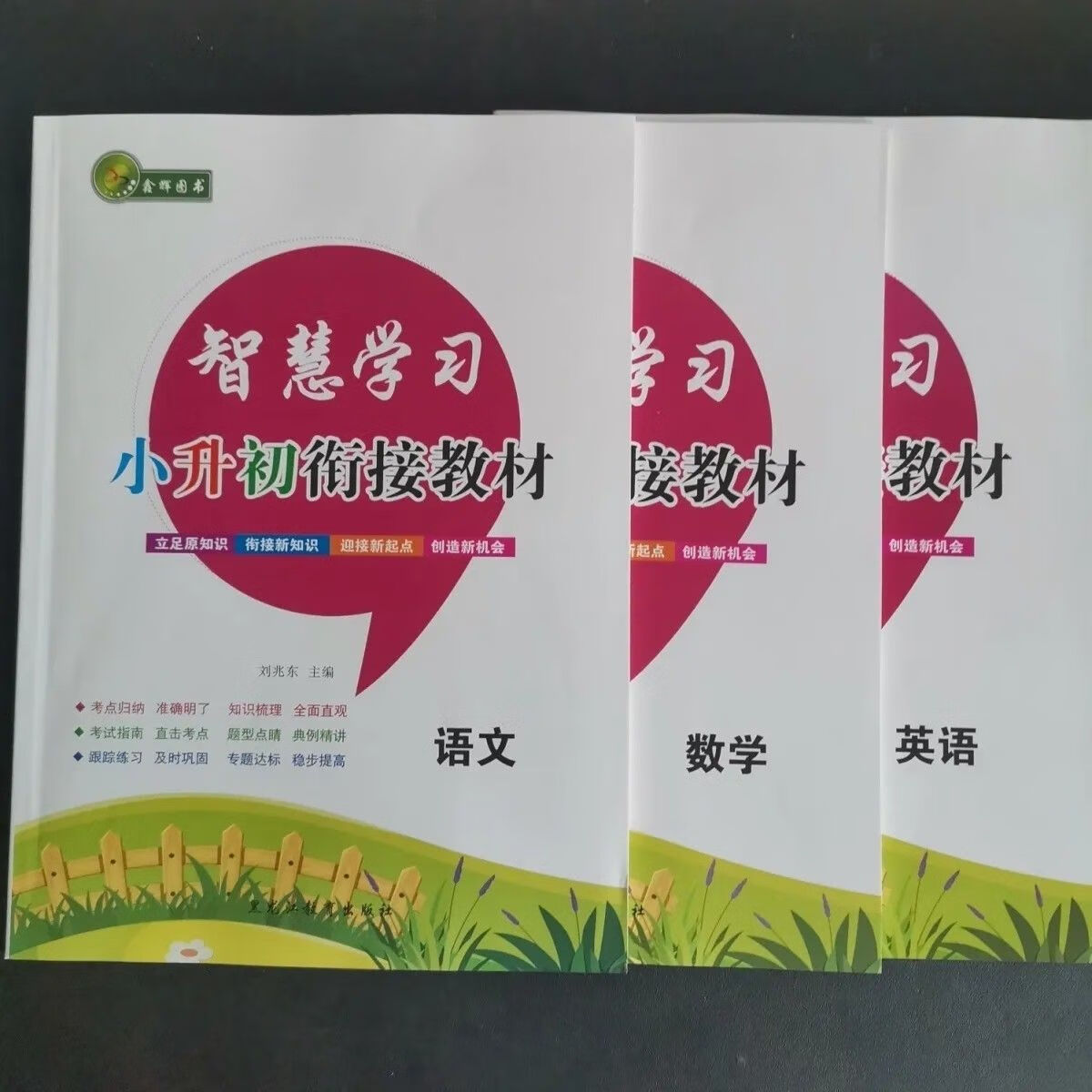 2024鑫辉智慧学习小升初衔接 各科自选 英语