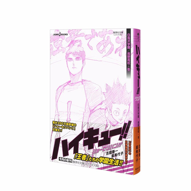 排球少年小说版 白鸟泽学园/乌野高校·冬 ハイキュ—!! ショ—セツバン!!  日本漫画小说善本图书