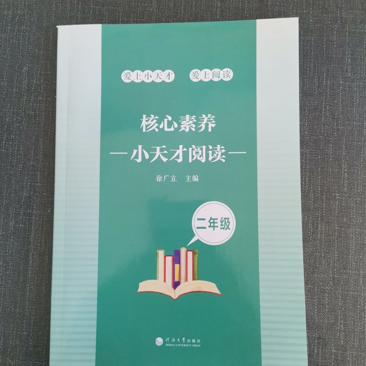 核心素养 小天才阅读 2022版 二年级 语文阅读课