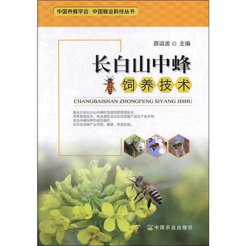 长白山中蜂饲养技术 薛运波 编 书籍