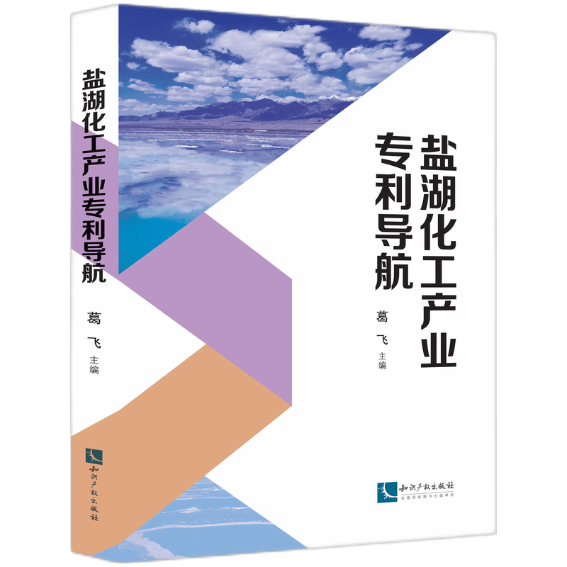 盐湖化工产业专利导航